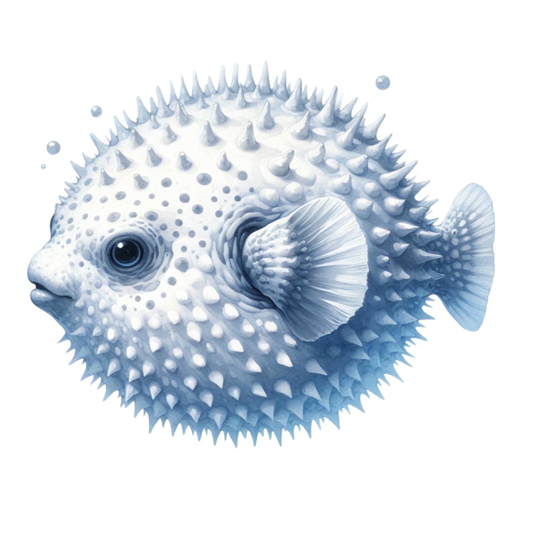 4X Cute Watercolor Pufferfish Stickers, Funny Sea Animal Motif ...