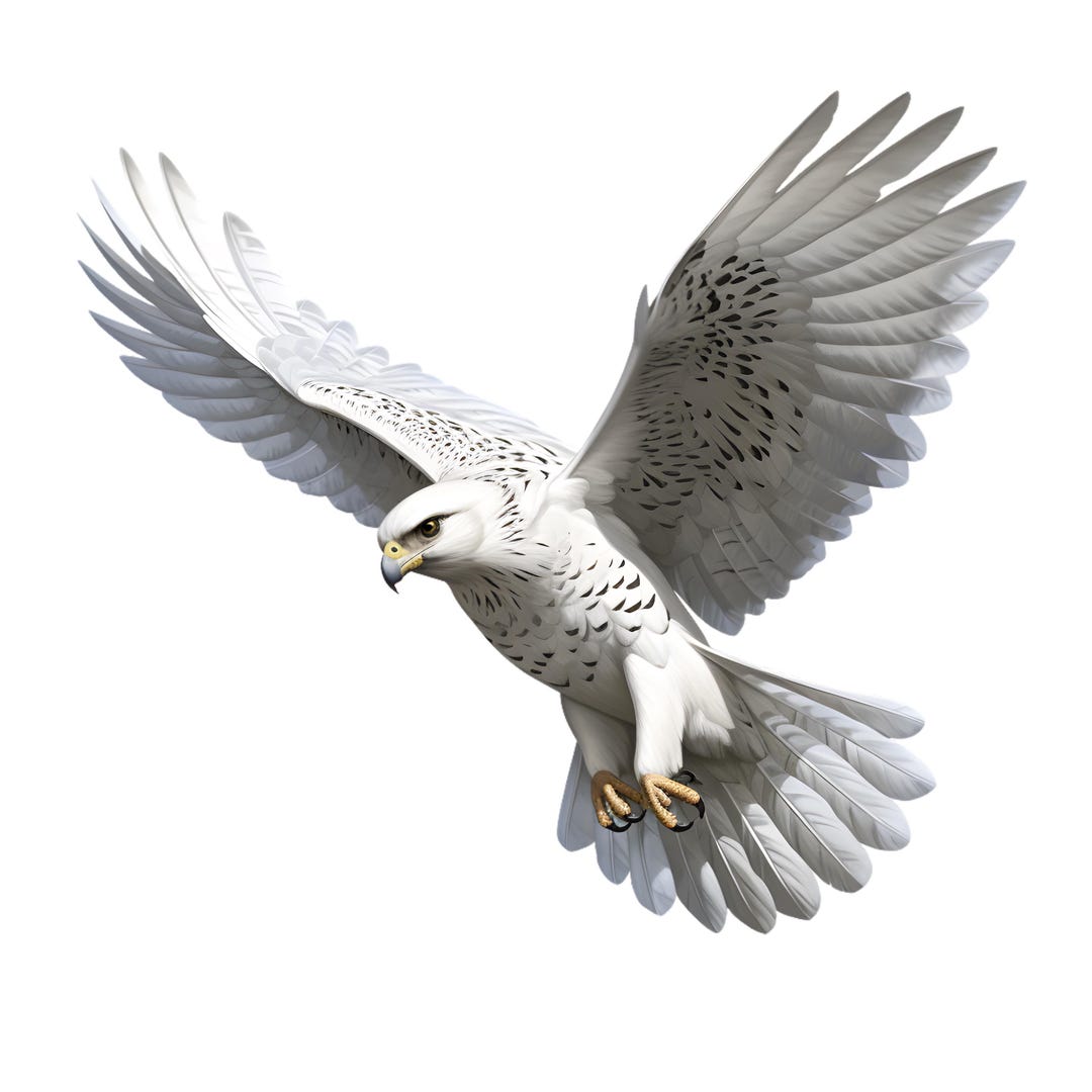 4X Gyrfalcon Stickers White Falcon Car Stickers Bird of Prey Nature ...