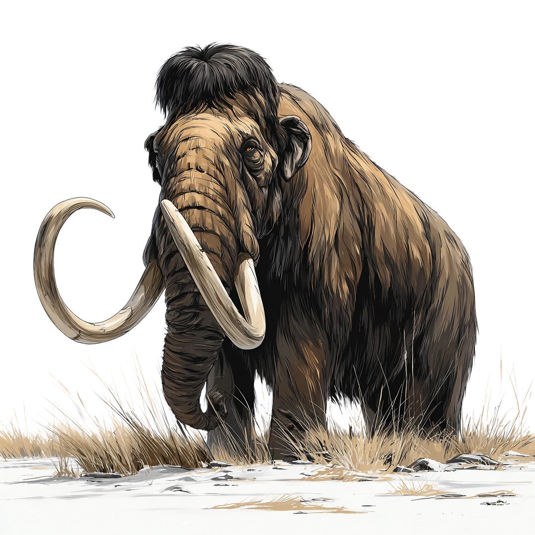4X Woolly Mammoth Stickers Ice Age Animal Car Stickers Mammoth ...
