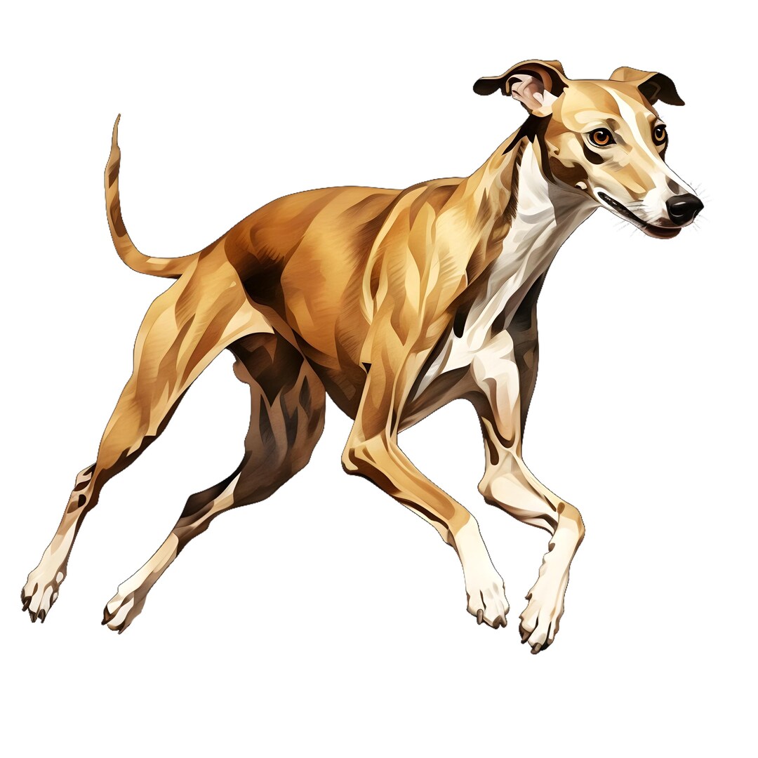 4X Greyhound Sticker Set, 4 Pieces, Watercolor Car Stickers, Galgo ...