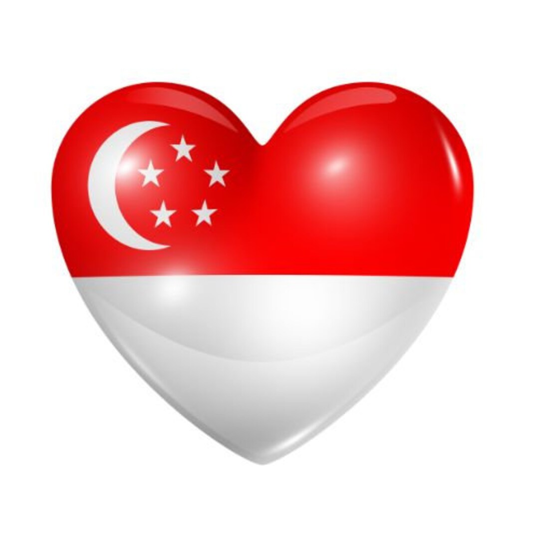 Car Sticker Sticker Flag Singapore Flag Sticker - Etsy