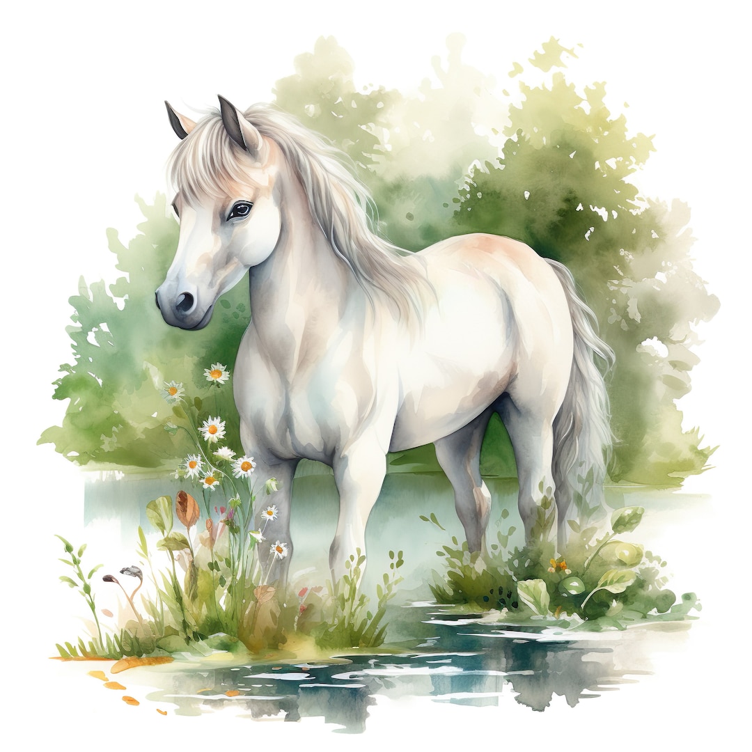 Car Sticker Sticker Pony Sticker Weatherproof Outdoor Vinyl - Etsy