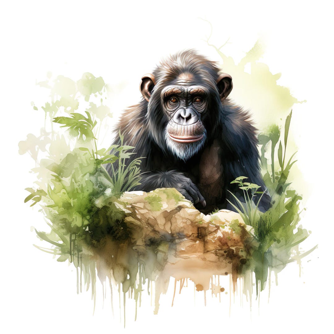 Chimpanzee Watercolor Sticker – Cute Monkey Sticker | Lunchbox Sticker ...