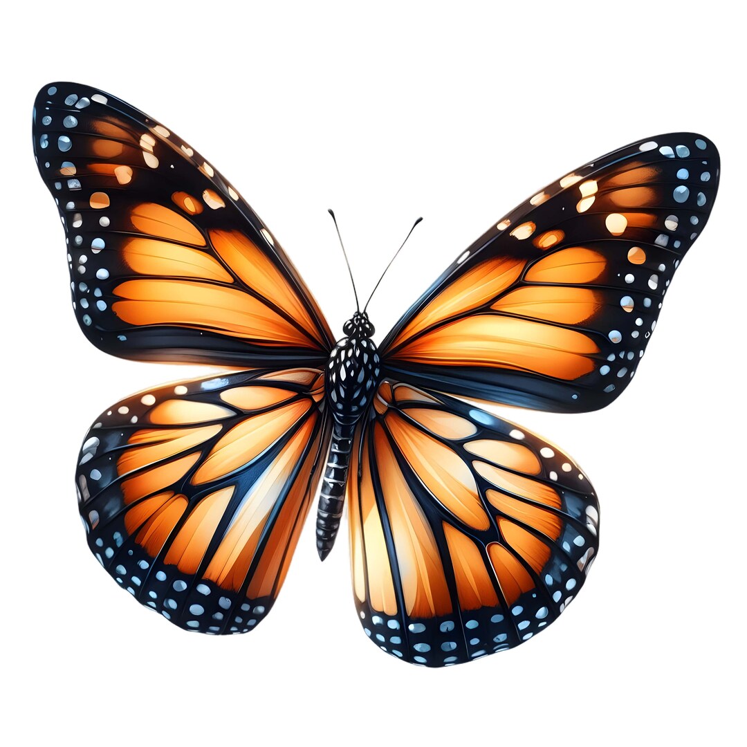 Sticker Watercolor Butterflies Sticker Personalizable Outdoor Vinyl - Etsy