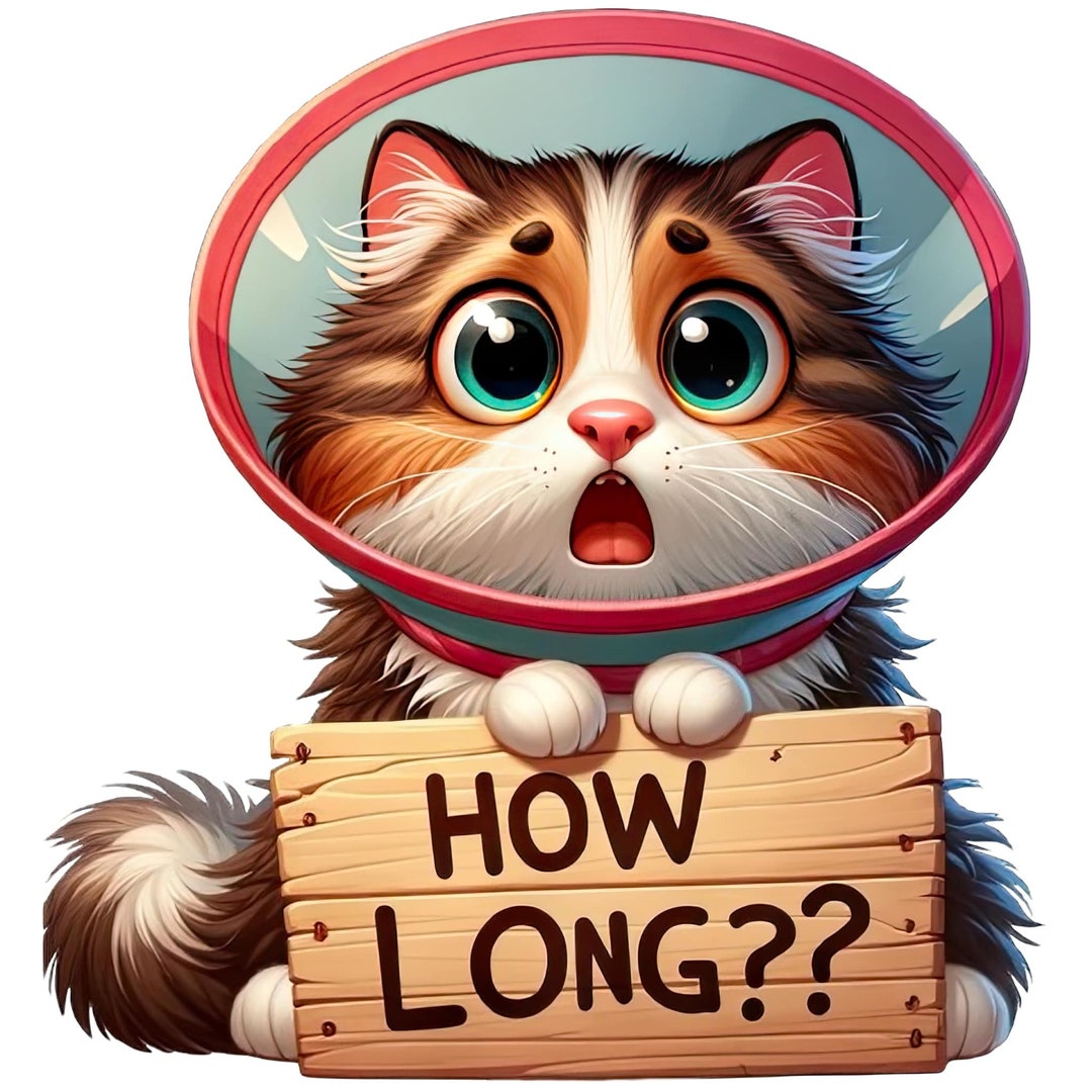 Car Sticker Placeholder Sticker Weatherproof Outdoor Vinyl - Etsy