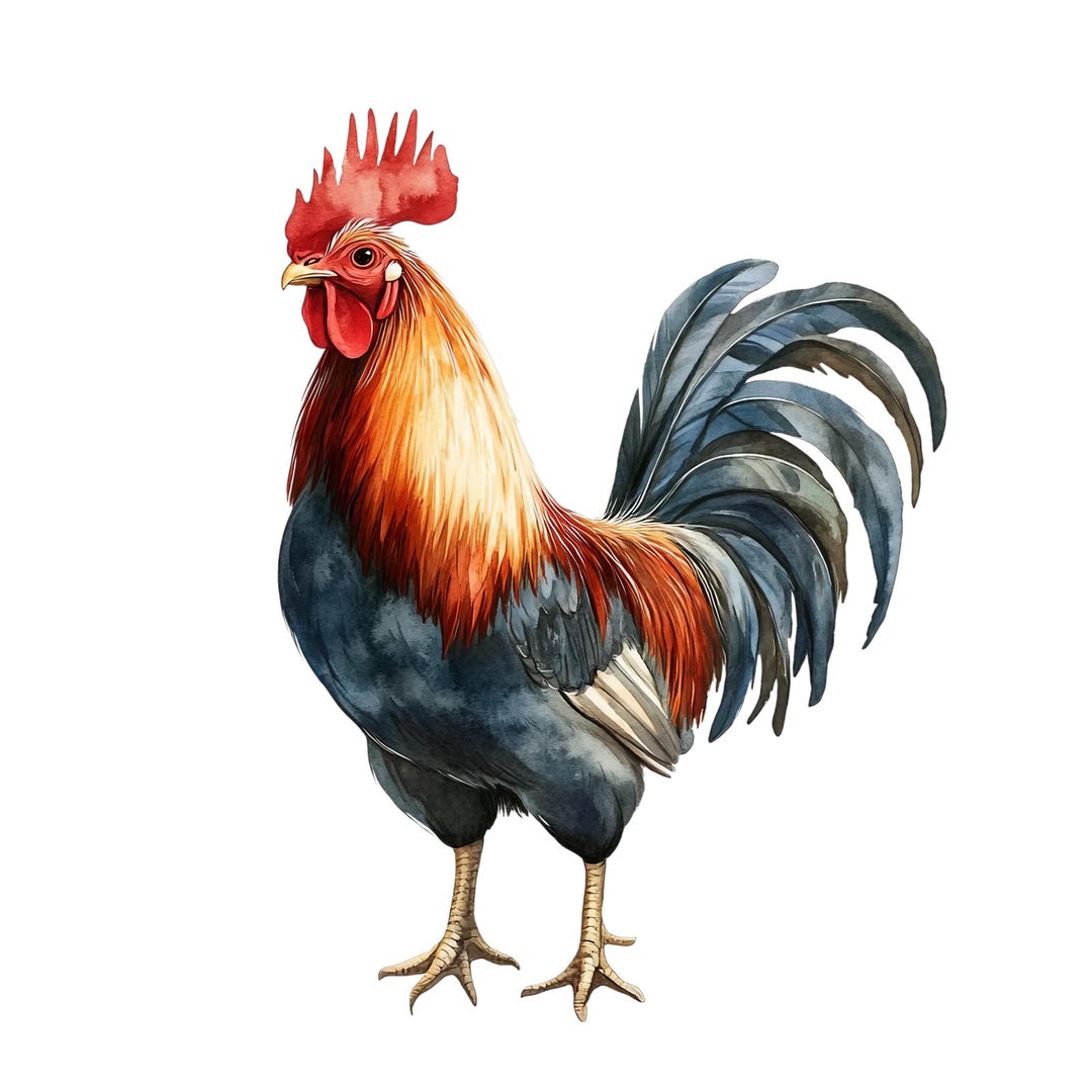 4X Rooster Stickers Car Stickers Farm Rooster Country House Decoration ...