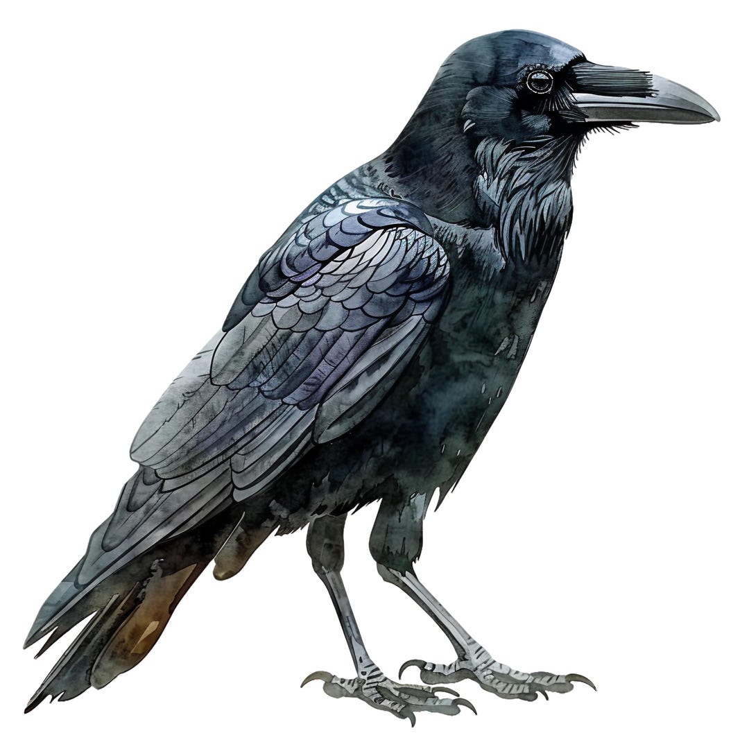 Iron-on Transfer Raven, Mystical Design, for T-shirts & Bags, DIY ...
