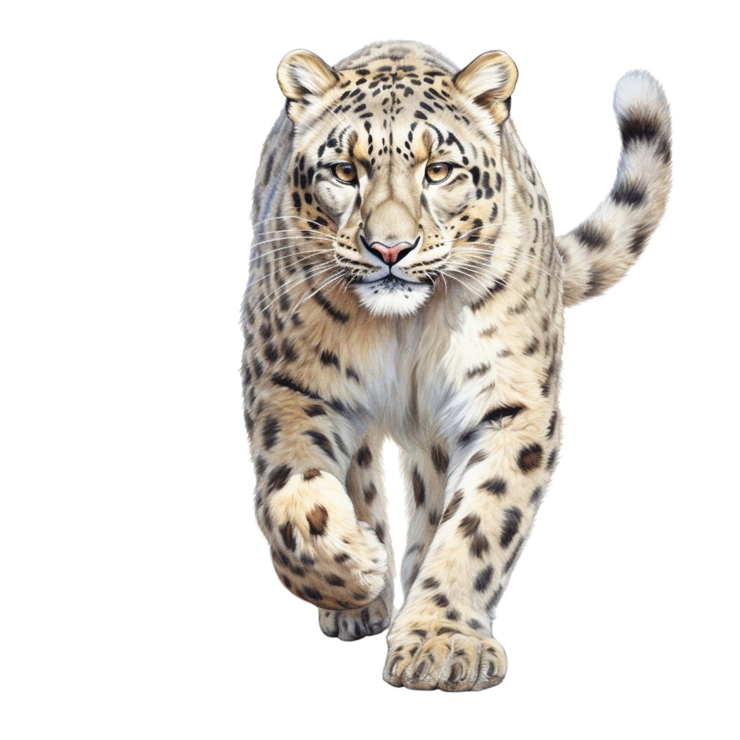 Sticker Snow Leopard Sticker Personalizable Outdoor Vinyl - Etsy