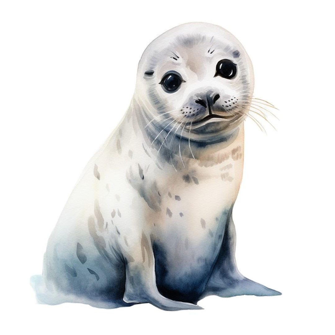 Car Sticker Baby Seal Sticker Weatherproof Outdoor Uv-resistant Vinyl ...