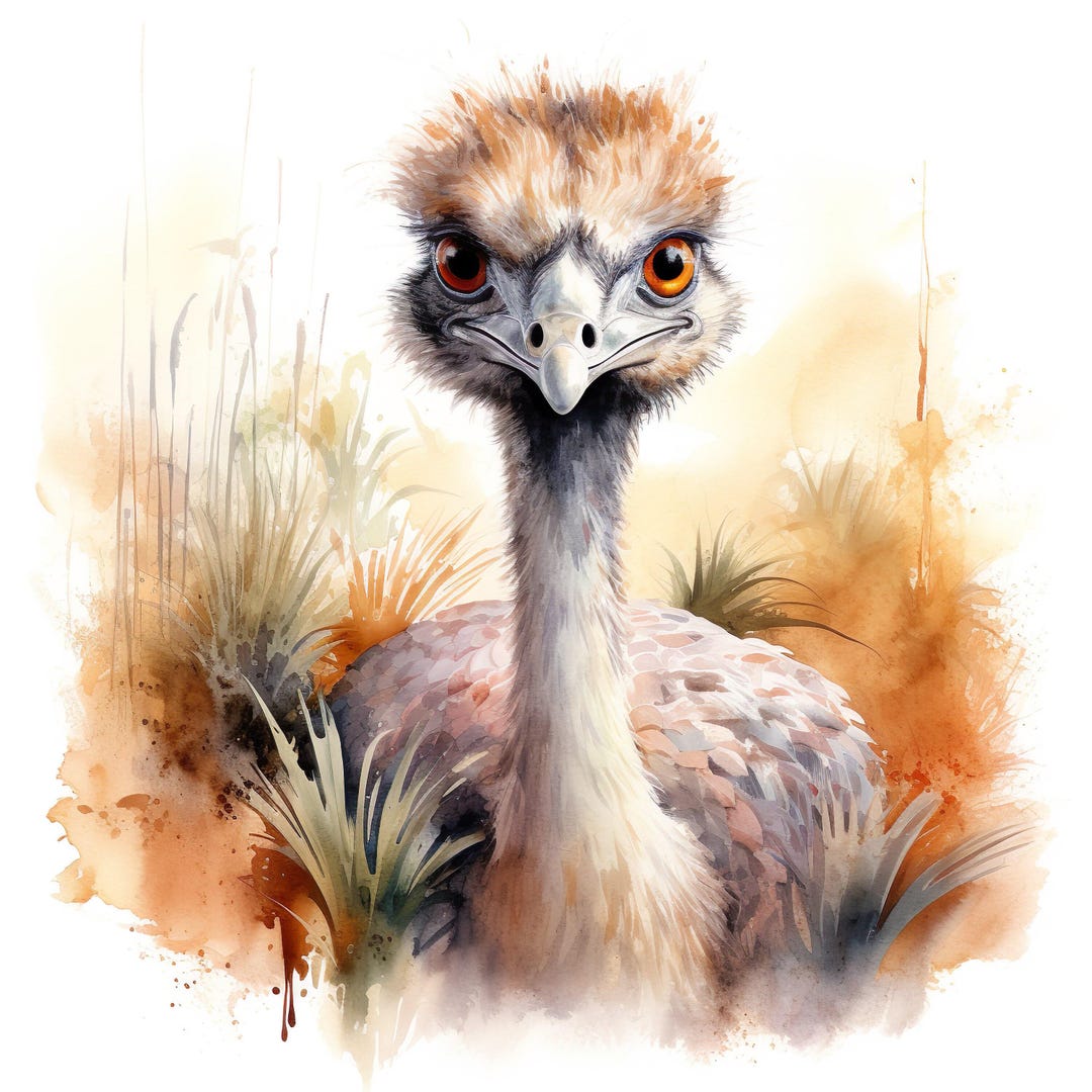Ostrich Sticker Watercolor – Exotic Bird Sticker | Animal Motif Car ...