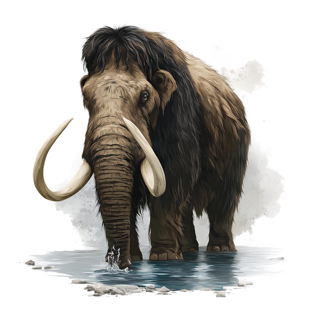 4X Woolly Mammoth Stickers Ice Age Animal Car Stickers Mammoth ...
