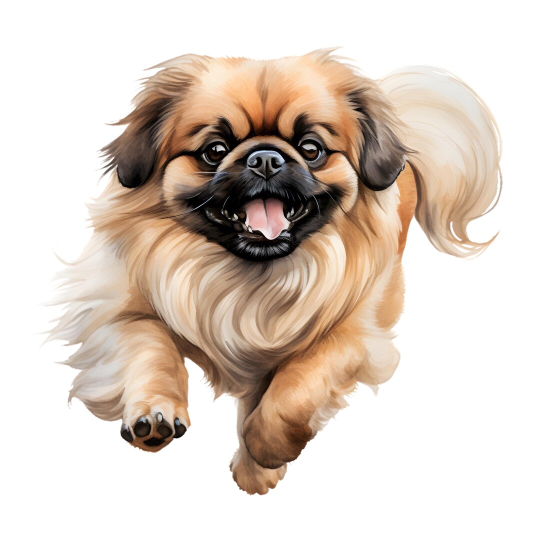 Pekingese Sticker Set 9 X 9 Cm Royal Dog Car Stickers Multipack Vinyl ...