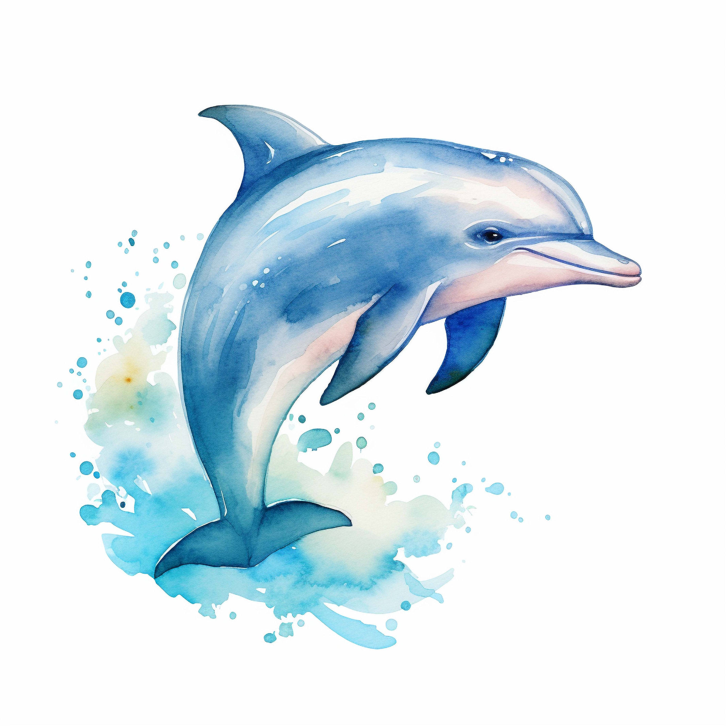 Car Sticker Watercolor Dolphin Sticker Weatherproof Outdoor Vinyl - Etsy