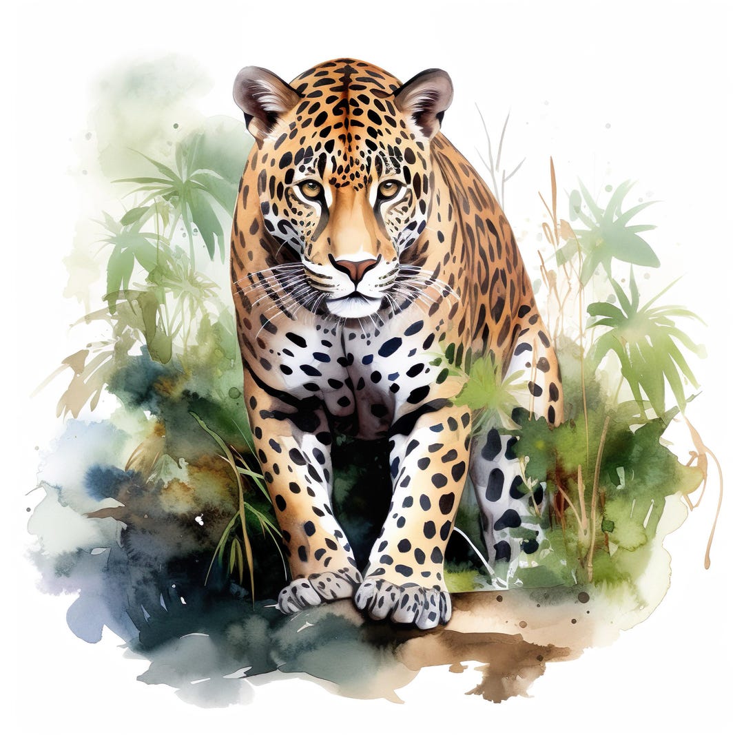 Car Sticker Jaguar Watercolor Look Wild Cat Sticker Exotic Animal Motif ...