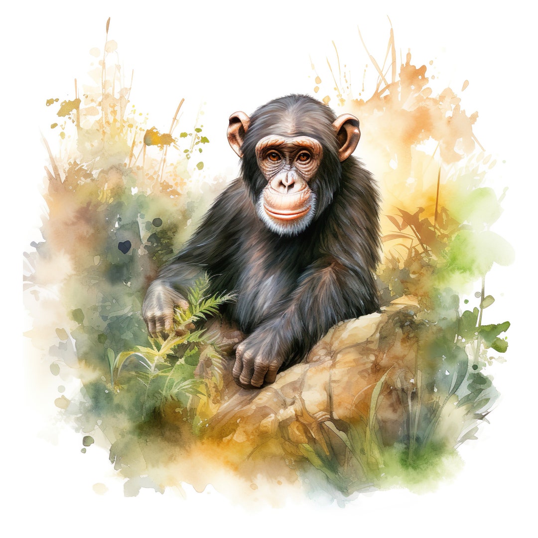 Car Sticker Chimpanzee Watercolor Sticker Weatherproof Outdoor Vinyl ...