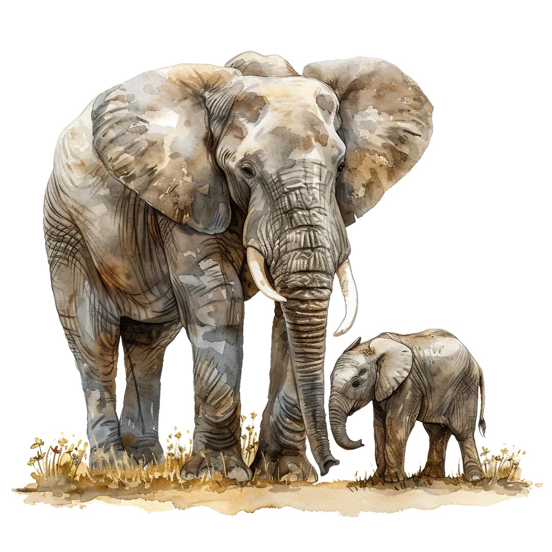 Elephant Sticker Set 9 X 9 Cm Watercolor Car Stickers Africa Wilderness ...