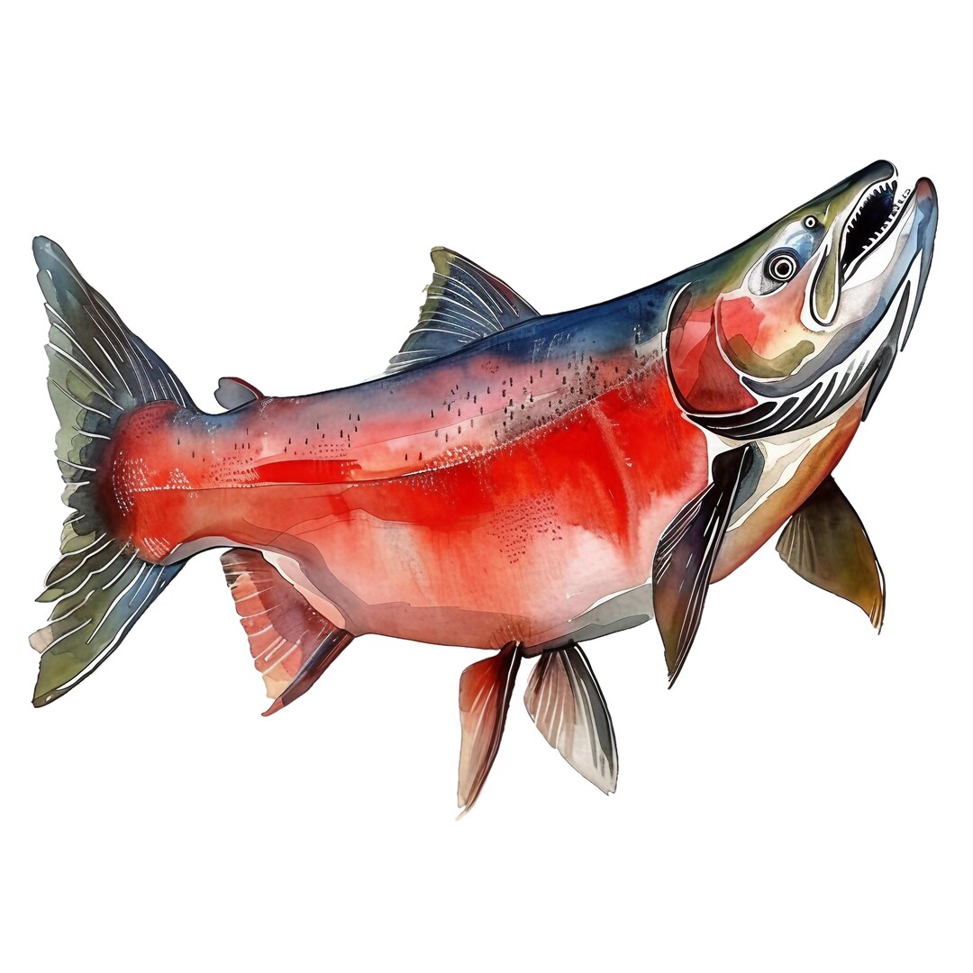 5x Salmon Stickers Majestic Fish Car Stickers Angler Gift Nature ...