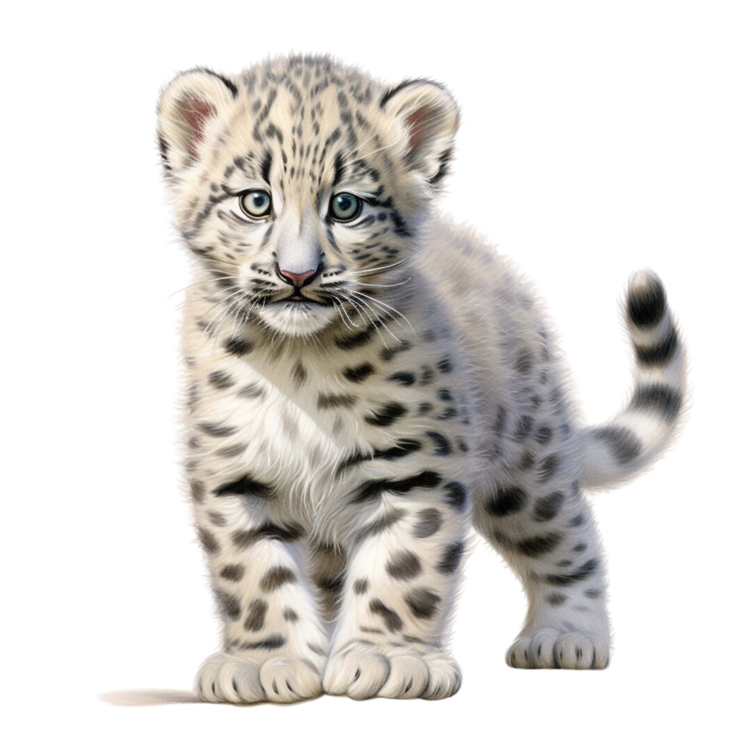 Car Sticker Snow Leopard Sticker Weatherproof Outdoor Vinyl - Etsy