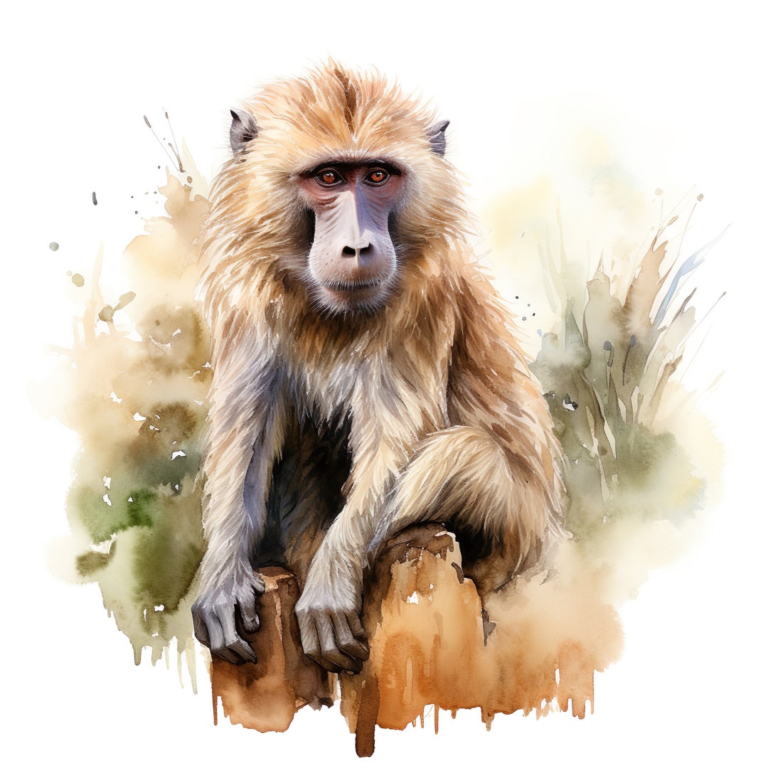 Wonderful Baboon Sticker Car Sticker Wall Sticker Monkey With Rocks and ...