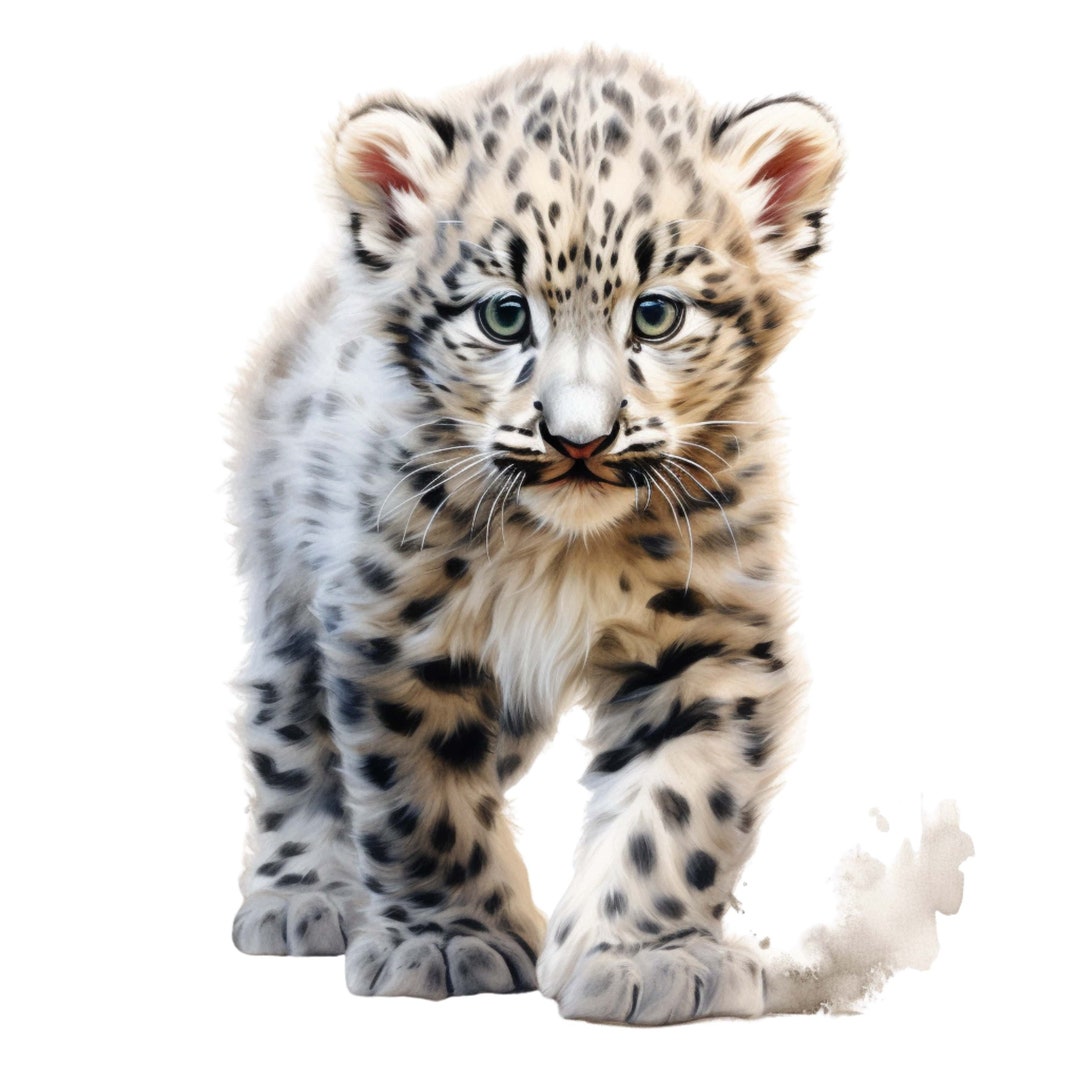 Car Sticker Snow Leopard Sticker Weatherproof Outdoor Vinyl - Etsy