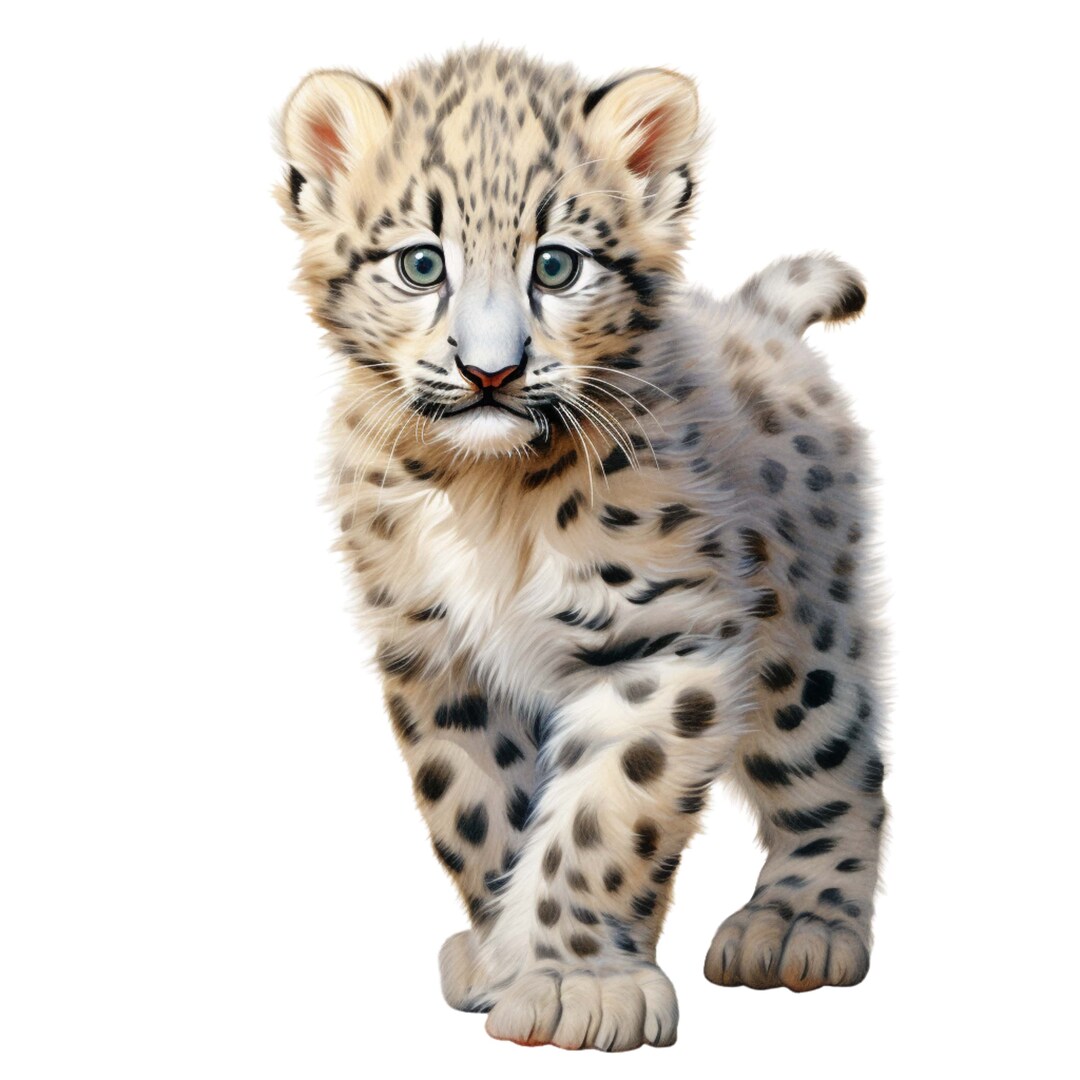 Car Sticker Snow Leopard Sticker Weatherproof Outdoor Vinyl - Etsy