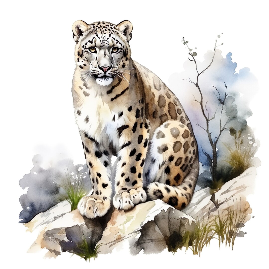 Car Sticker Snow Leopard Sticker Weatherproof Outdoor Vinyl - Etsy