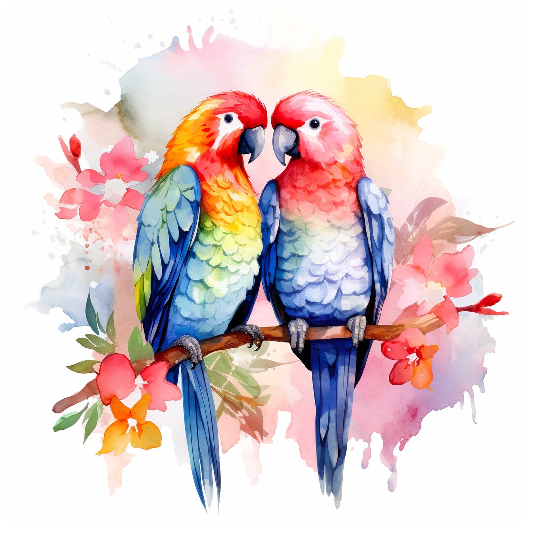 Car Sticker Parrots in Love Sticker Weatherproof Outdoor Vinyl Sticker ...