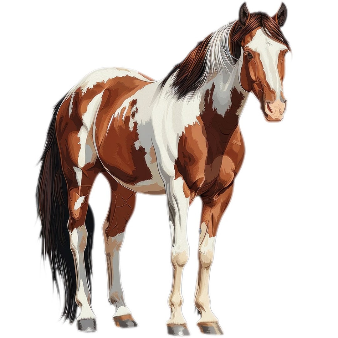 American Paint Horse Sticker Realistic Horse Sticker Wall Sticker Car ...