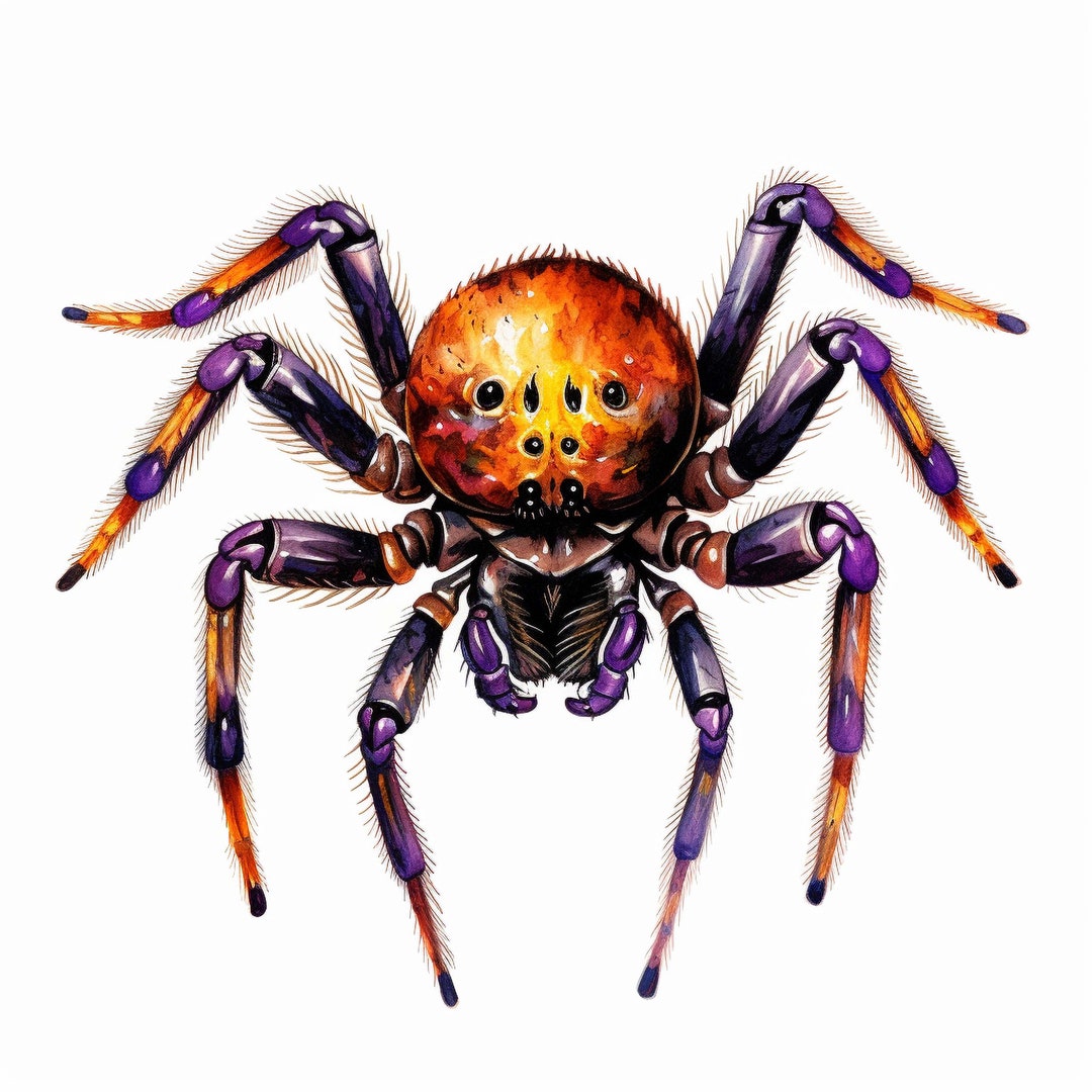 Watercolor Spider Sticker Red Spider Sticker Insect Wall Decal Nature ...
