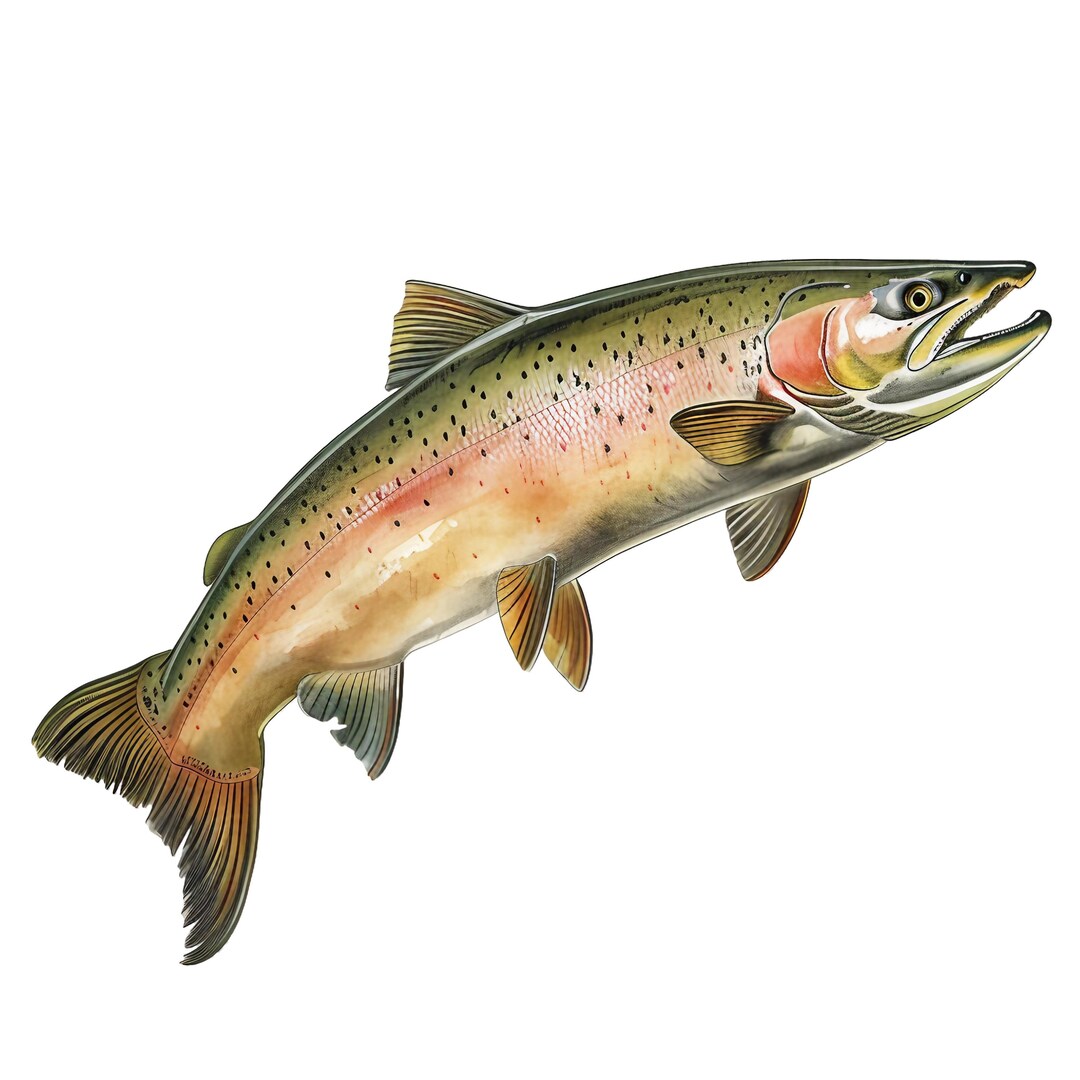 5x Salmon Stickers Majestic Fish Car Stickers Angler Gift Nature ...