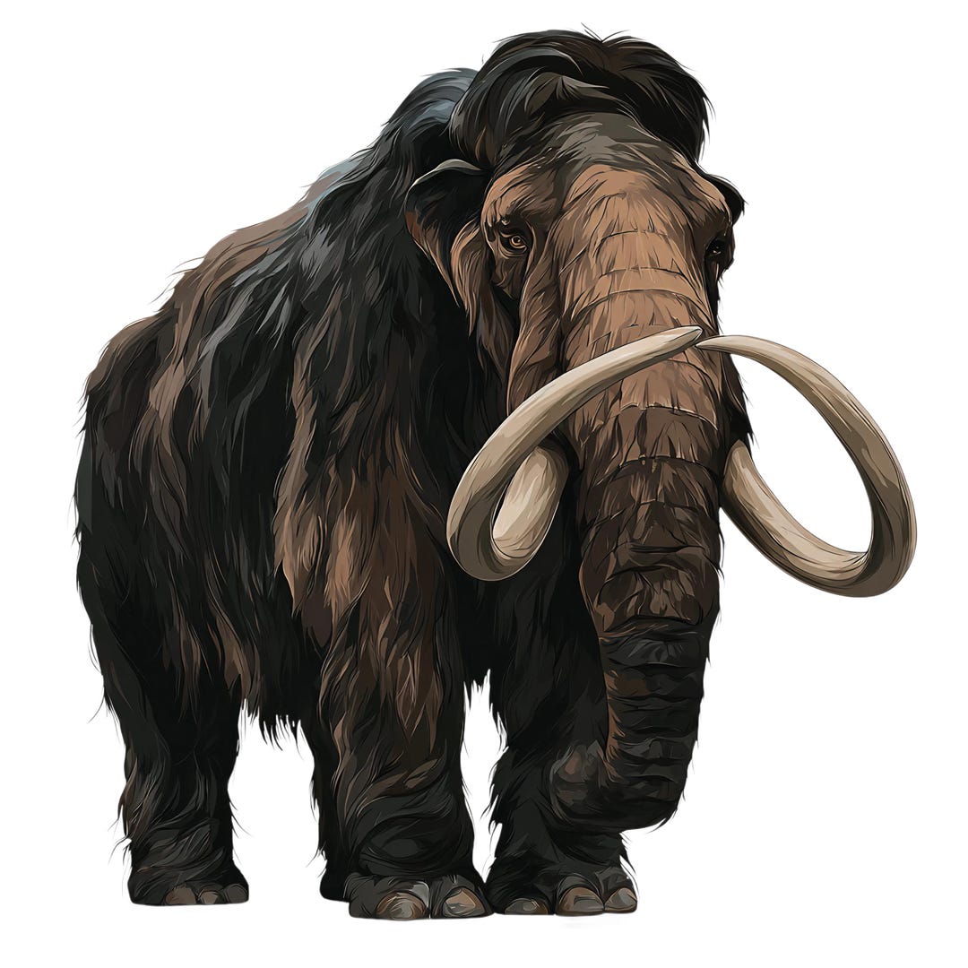 4X Woolly Mammoth Stickers Ice Age Animal Car Stickers Mammoth ...