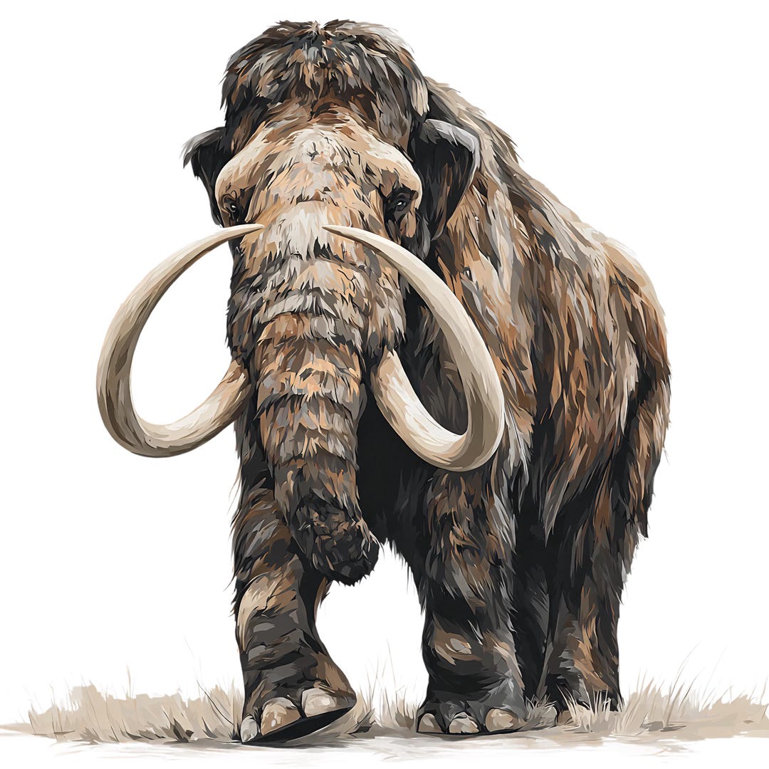 4X Woolly Mammoth Stickers Ice Age Animal Car Stickers Mammoth ...