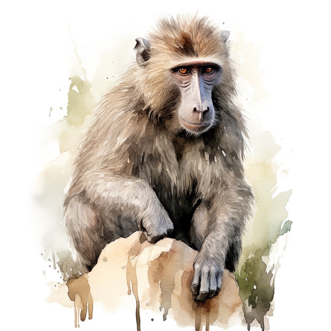 Car Sticker Baboon Watercolor Sticker Weatherproof Outdoor Vinyl - Etsy