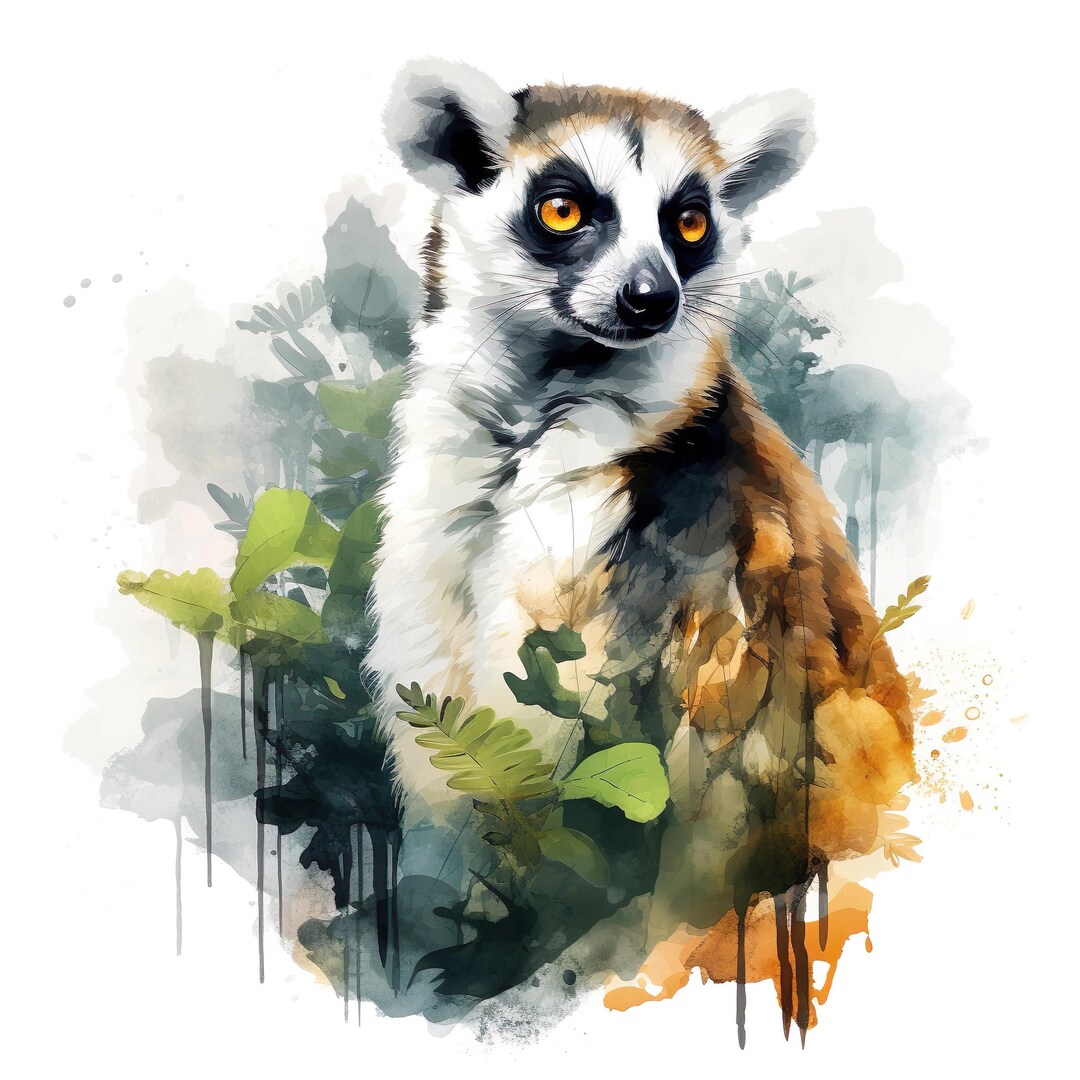 Car Sticker Cute Lemur Watercolor Sticker – Cute Animal Motif Sticker ...