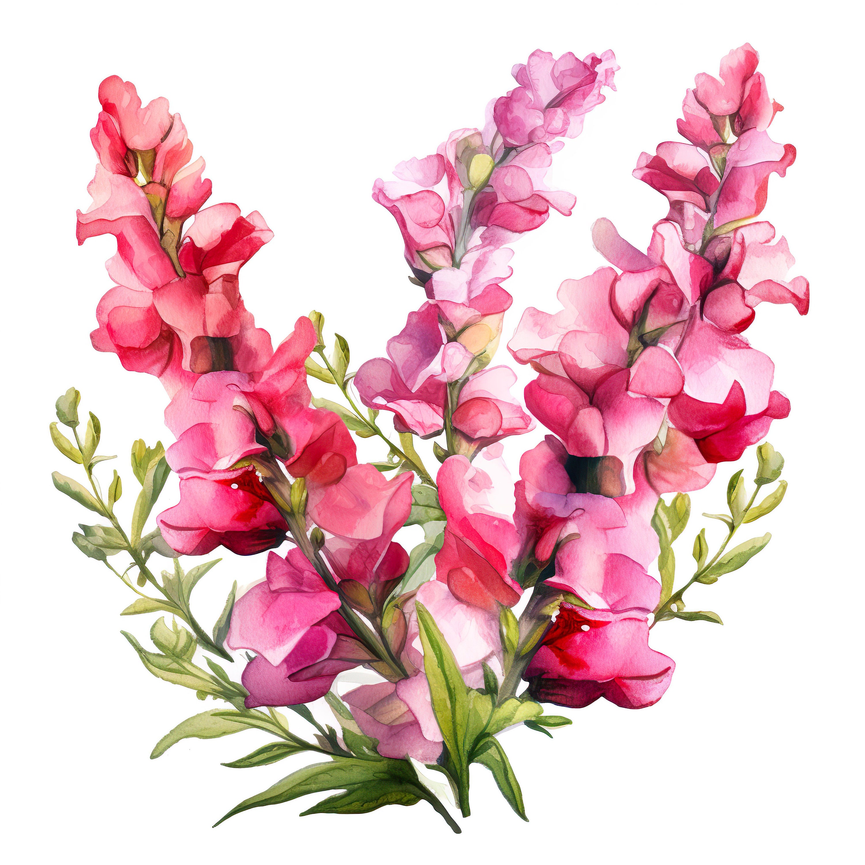 Car Sticker Snapdragon Watercolor Flowers Sticker Weatherproof Outdoor ...