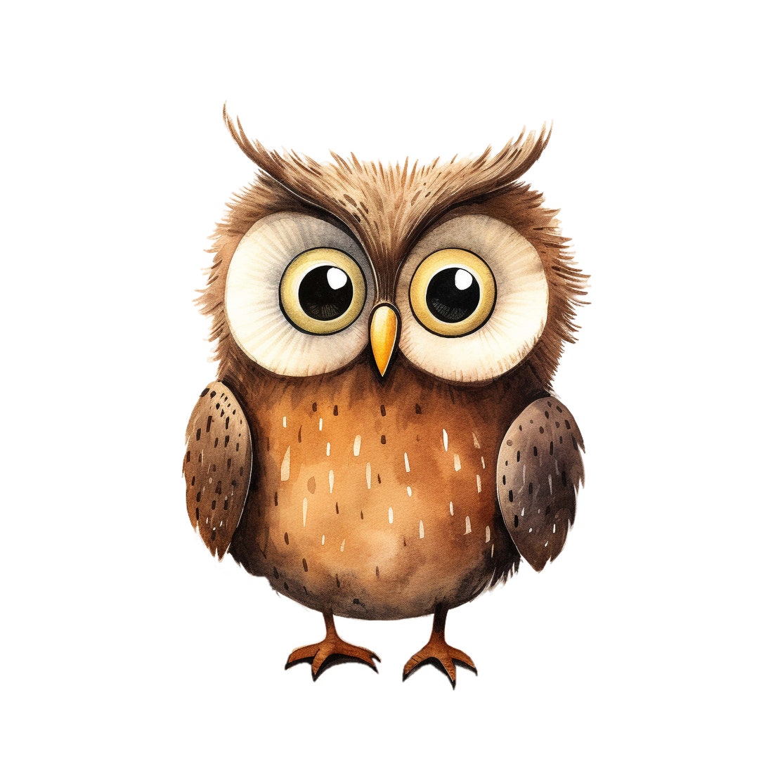 Car Sticker Funny Owls Sticker Weatherproof Outdoor Uv-resistant Vinyl ...