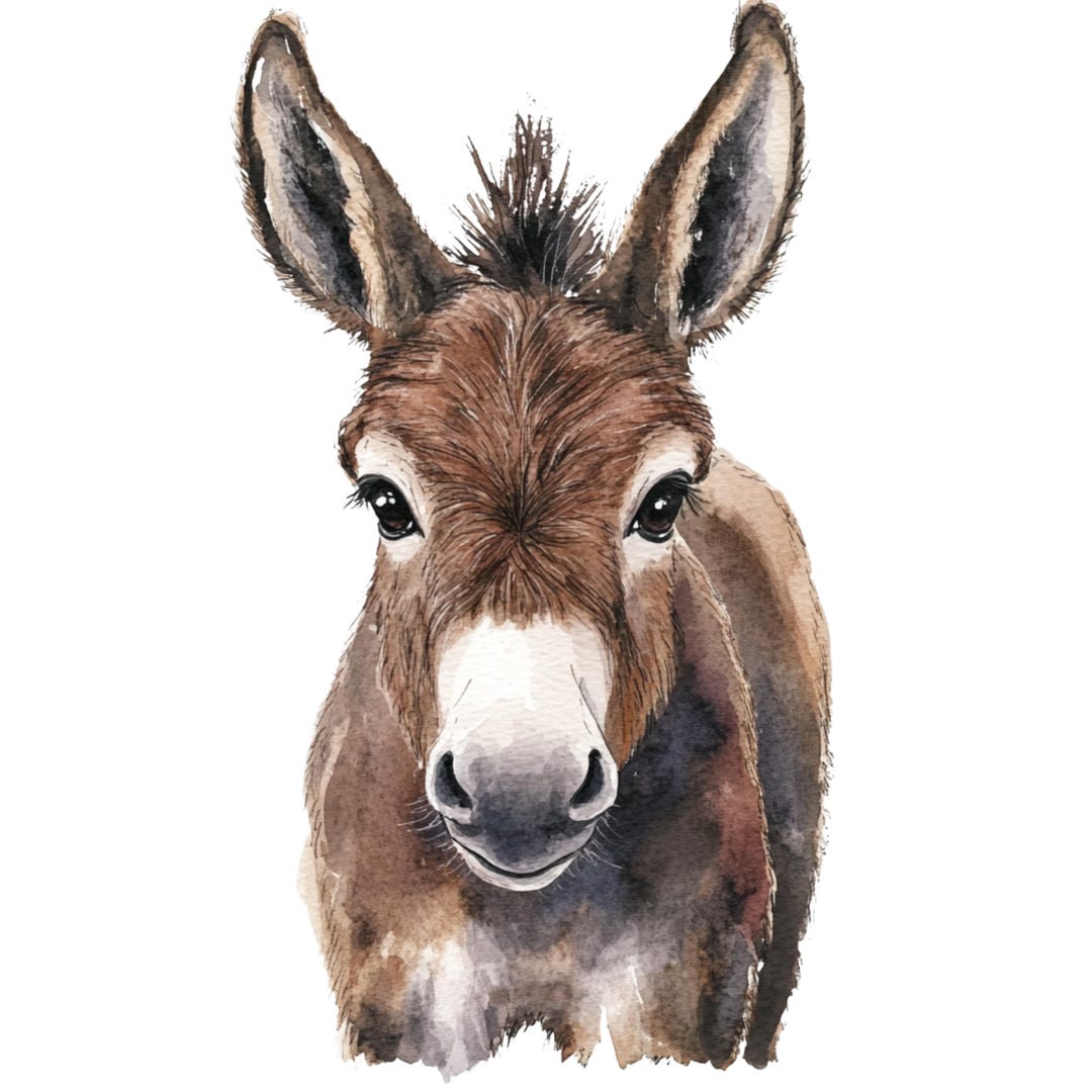 5X Donkey Stickers Watercolor Car Stickers Funny Farm Animal Decoration ...