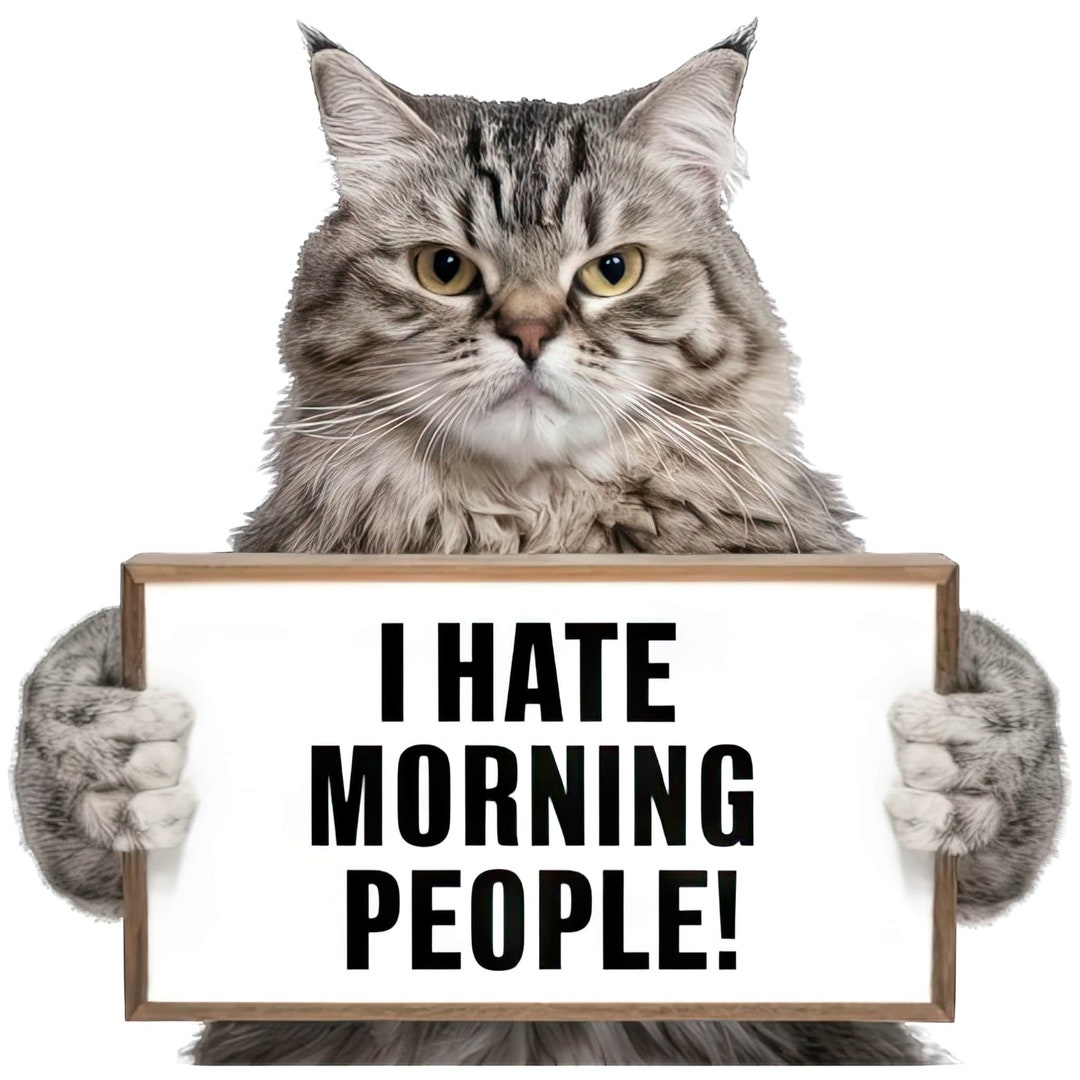 Car Sticker Cats Hate Morning People Sticker Weatherproof Outdoor Vinyl ...