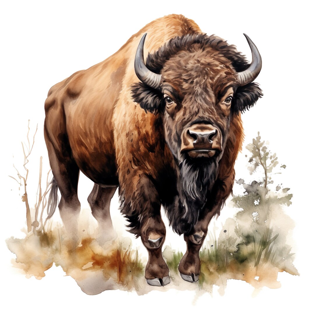 Bison Sticker Watercolor Style Car Sticker Wild Animal Wall Decal ...