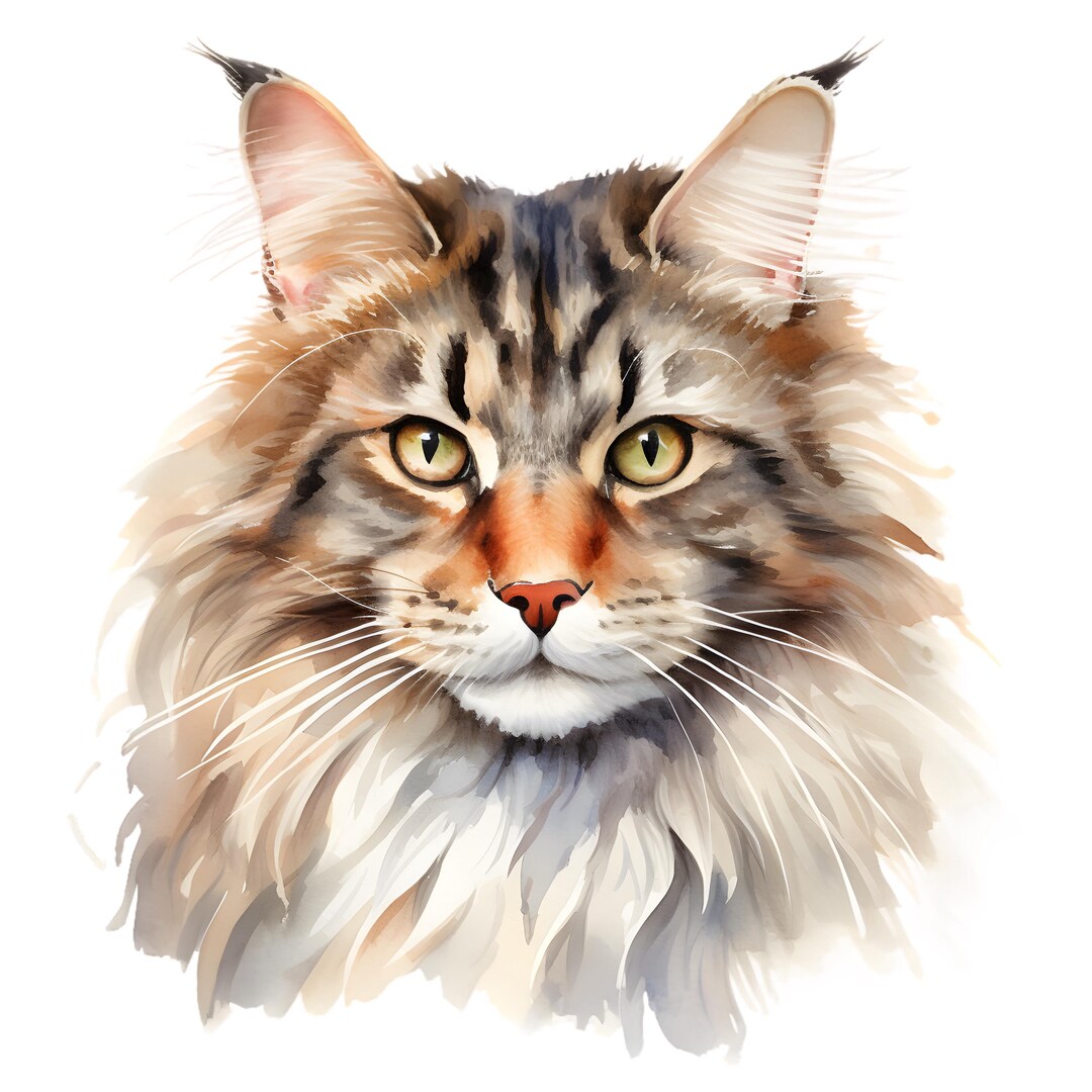 Norwegian Forest Cat Sticker Set 9 X 9 Cm: Royal Car Stickers Cat Crown ...