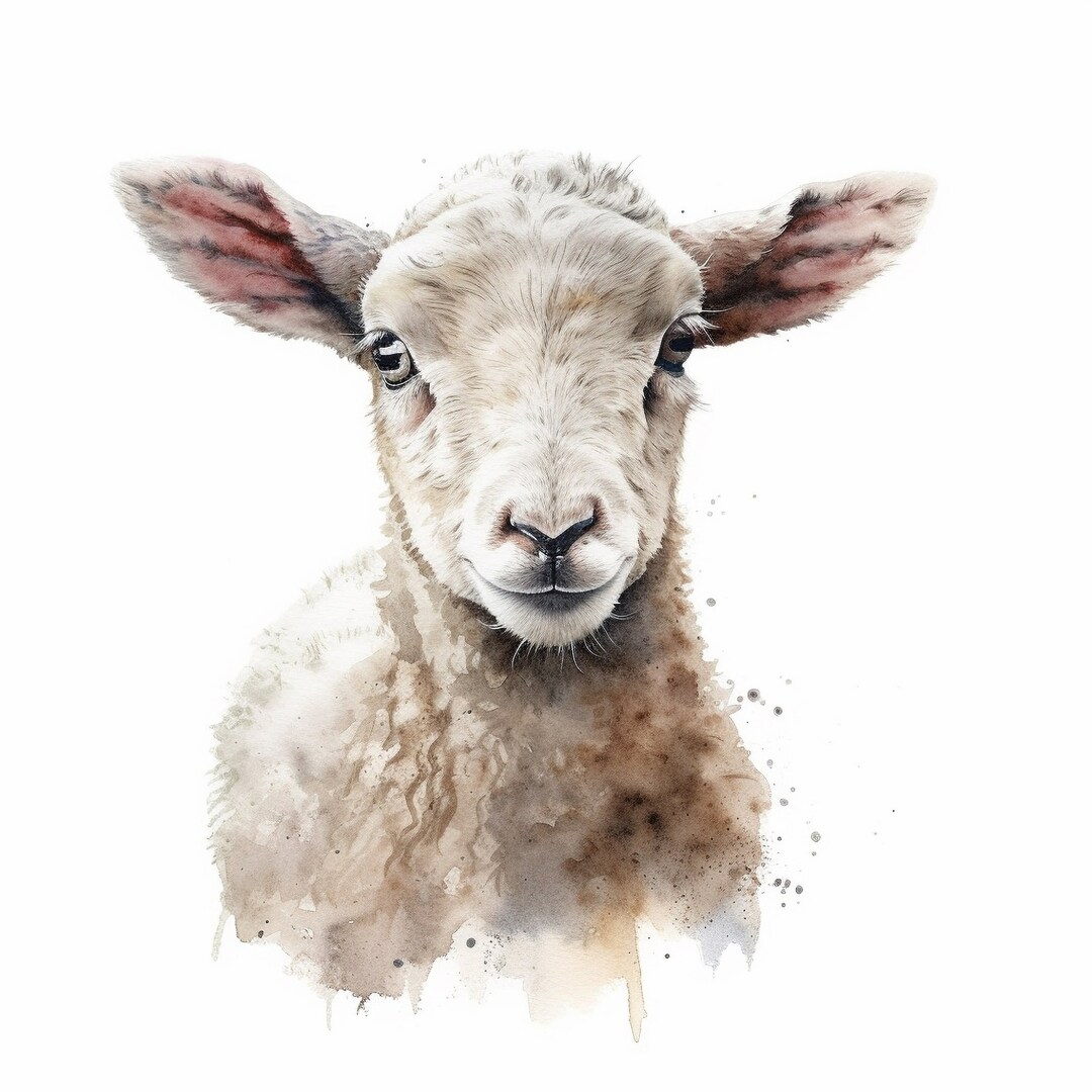 Car Sticker Lamb Sticker Weatherproof Outdoor Vinyl - Etsy