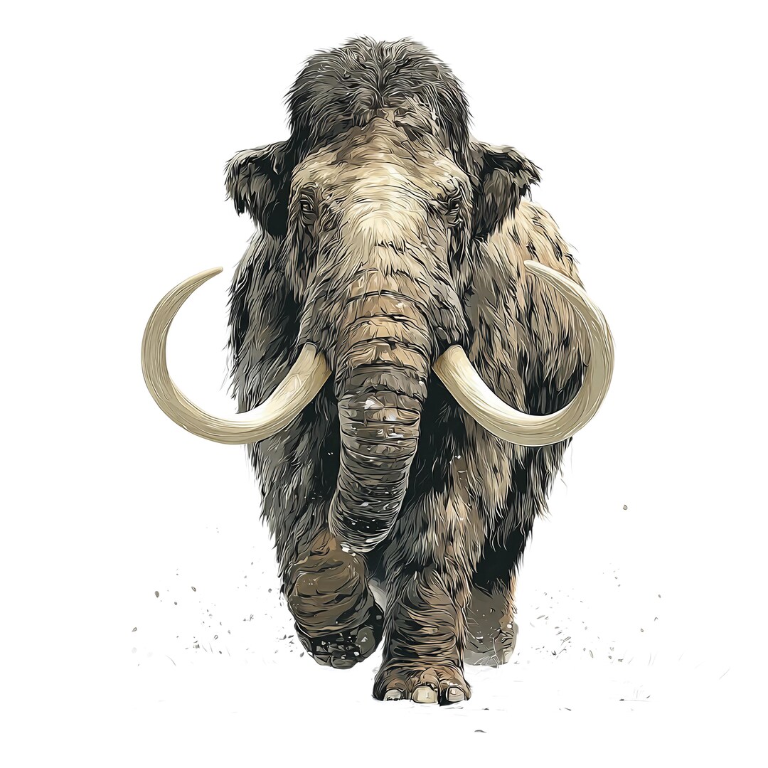 4X Woolly Mammoth Stickers Ice Age Animal Car Stickers Mammoth ...