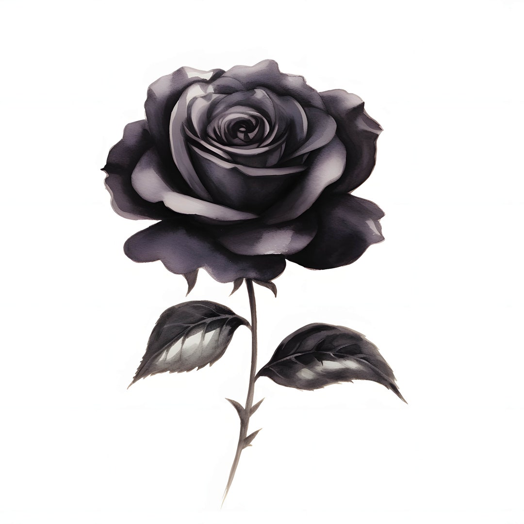 Watercolor Black Rose Sticker Car Sticker & Wall Decal Weatherproof Uv ...