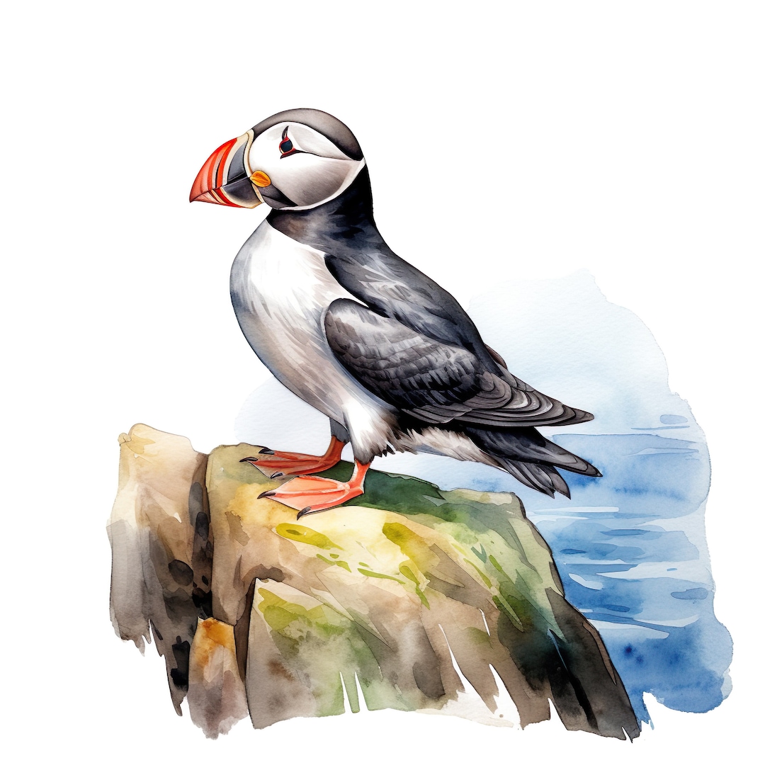 Car Sticker Atlantic Puffin Watercolor Bird Decal Weatherproof Outdoor ...