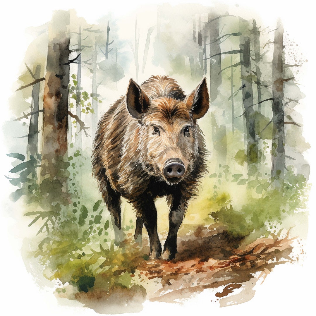 Car Sticker Watercolor Wild Boar Sticker Weatherproof Outdoor Vinyl - Etsy