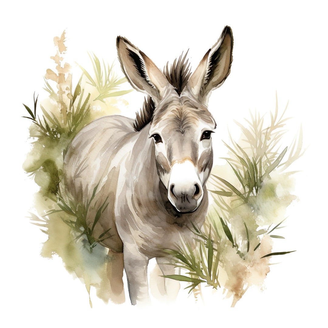 Car Sticker Donkey Watercolor Sticker Weatherproof Outdoor Uv-resistant ...