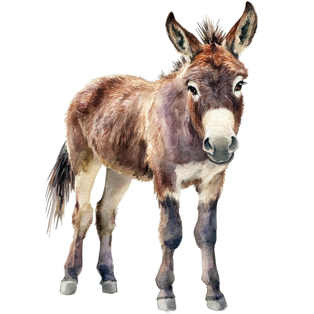 5X Donkey Stickers Watercolor Car Stickers Funny Farm Animal Decoration ...