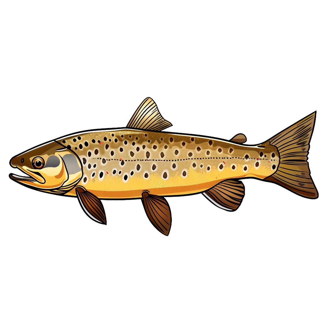 5x Trout Stickers Car Decals Fish Angler Gift Waterproof Vinyl Rainbow ...