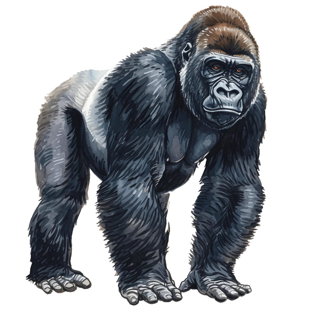 5X Gorilla Sticker Set Silverback Car Stickers Monkey Strong Wilderness ...