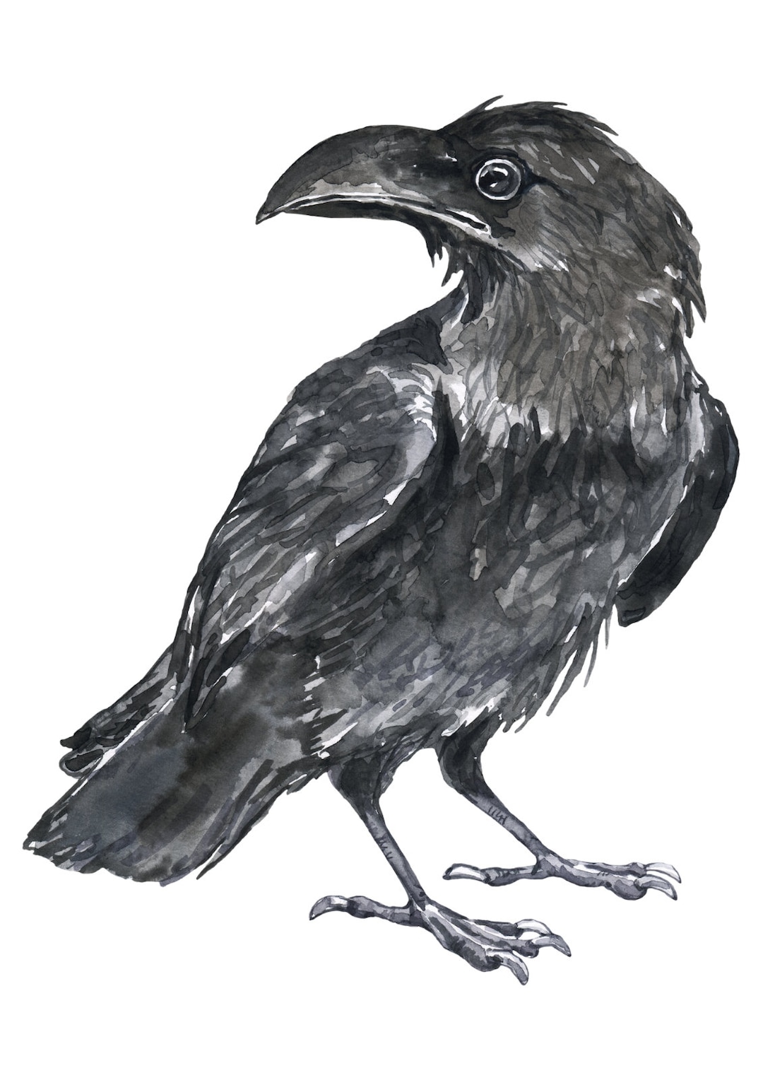 Raven Sticker Watercolor – Mystical Black Bird Sticker in Gothic Nature ...